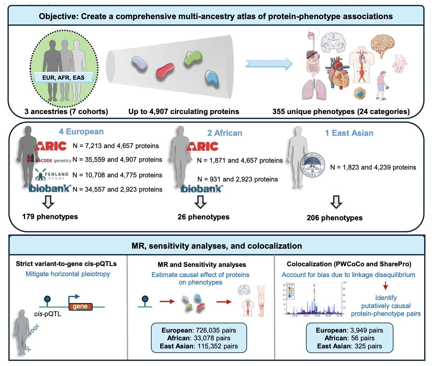 Research | Common Metabolic Diseases Knowledge Portal