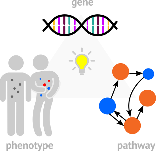 Research | Common Metabolic Diseases Knowledge Portal